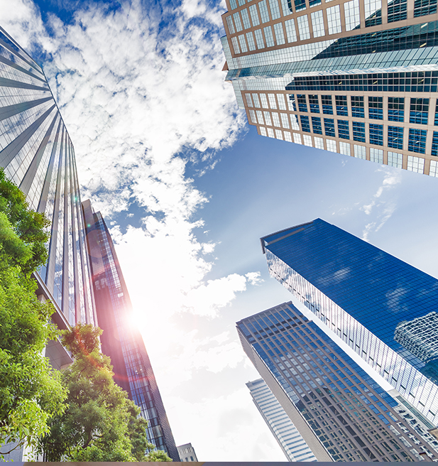 Xencor LFT | Nexeo Plastics